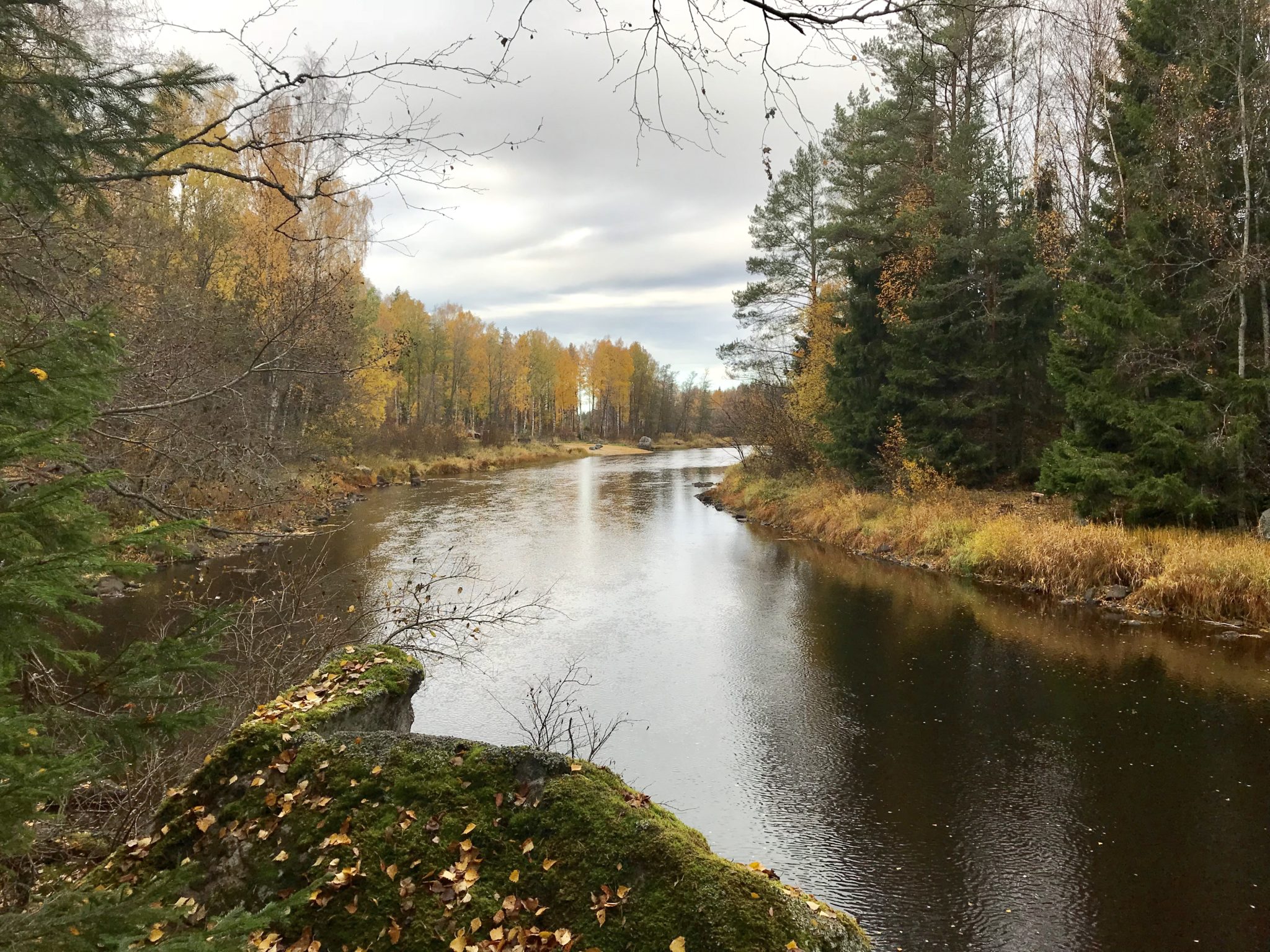 Finland, Merikarvia - Fishmaster