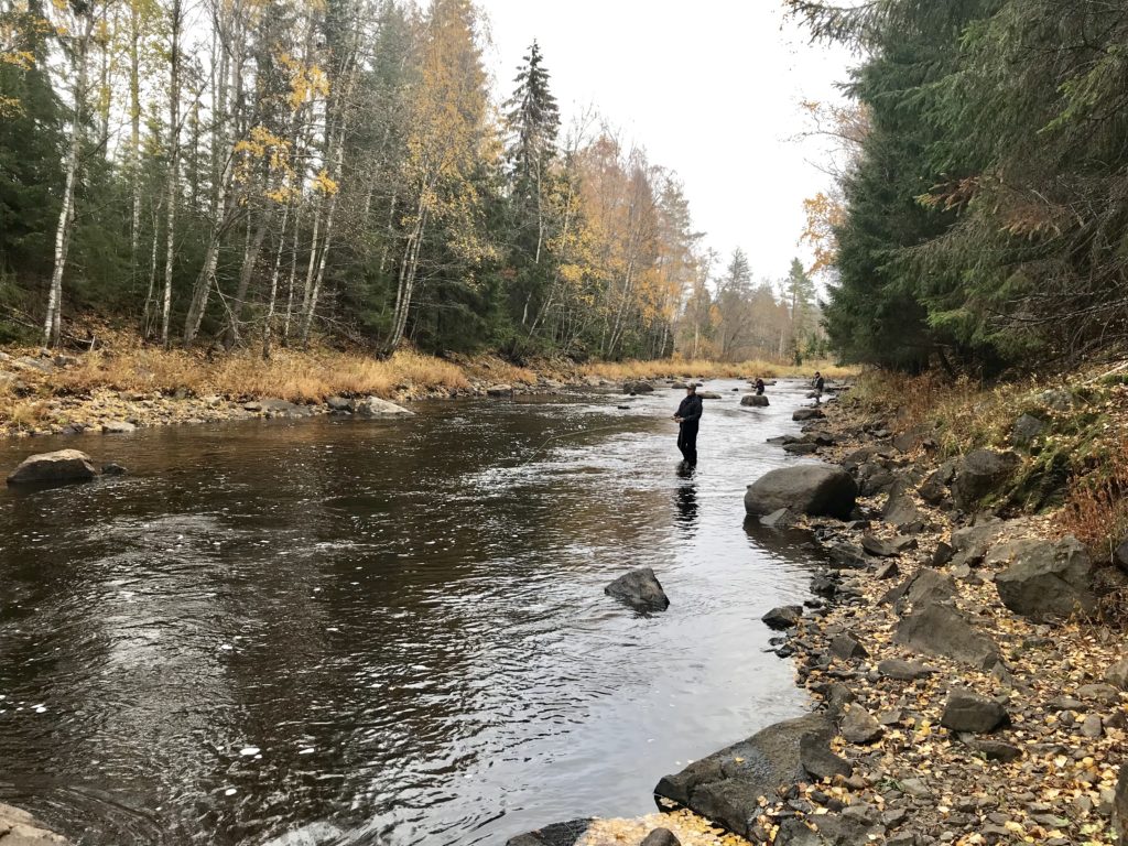 Finland, Merikarvia - Fishmaster