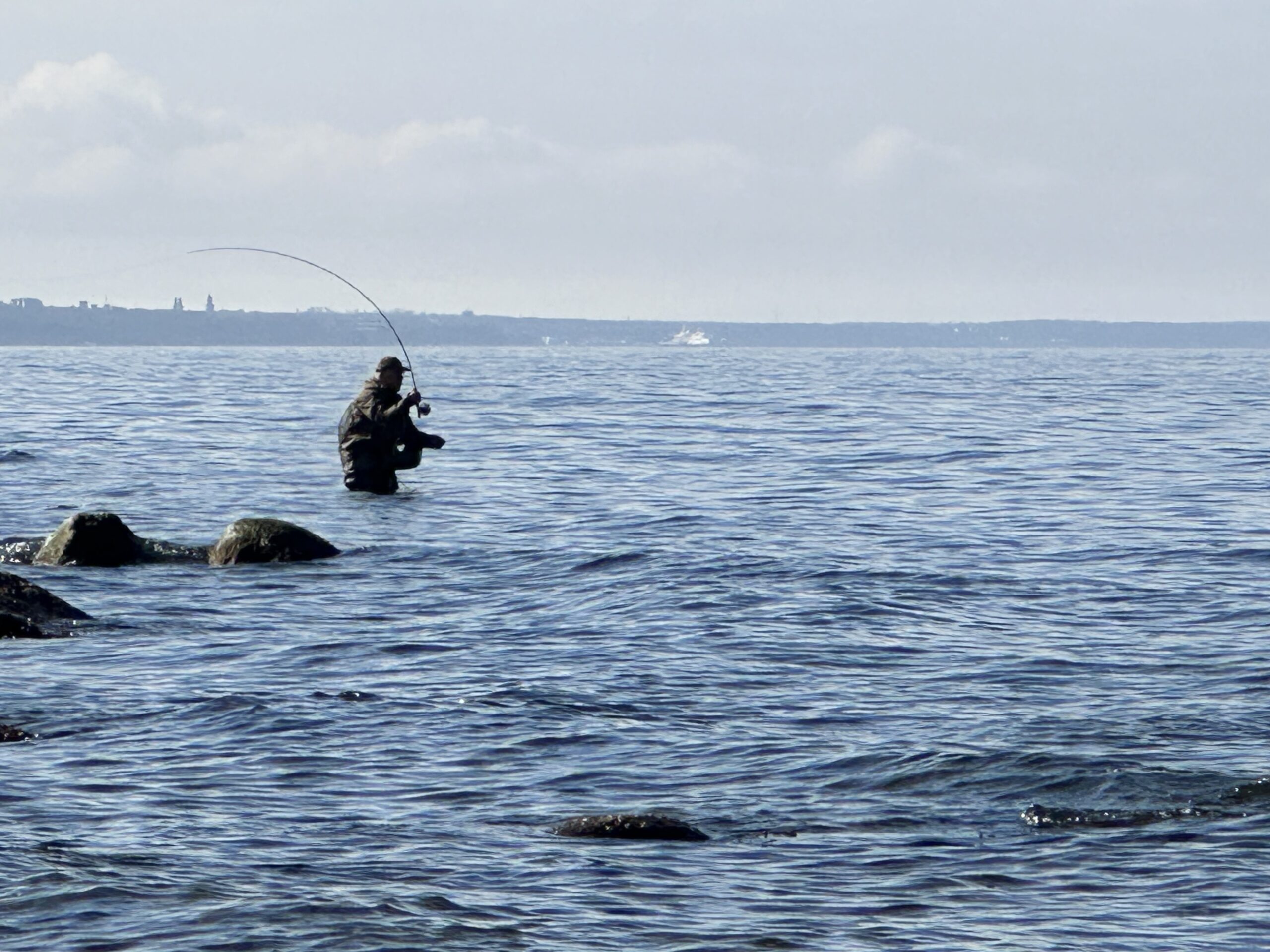 FOTORAPPORT - SVERIGE, GOTLAND 28.3.-3.4.2024 - Fishmaster
